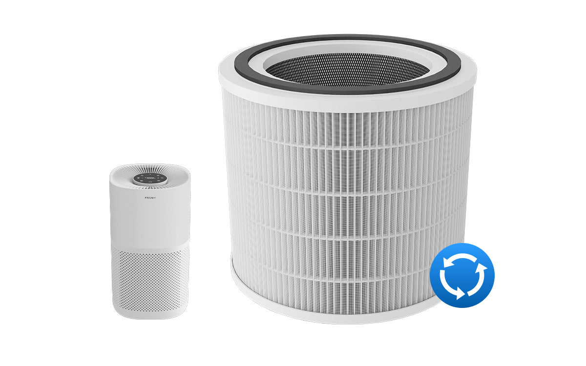 PRISM+ Vortex Pro Filter Subscription – PRISM+ Singapore